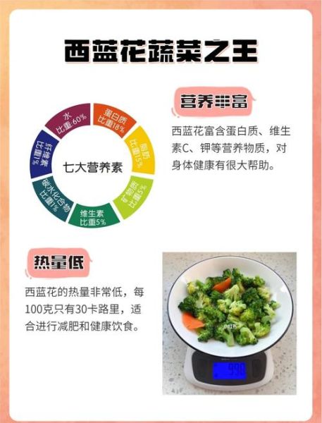 西兰花可以天天吃吗_西兰花的副作用有哪些-第1张图片-山城妙识 西兰花可以天天吃吗_西兰花的副作用有哪些-第1张图片-山城妙识