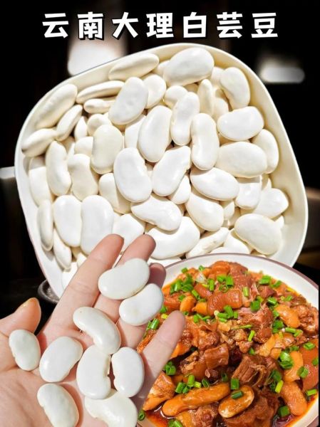 白芸豆怎么吃_白芸豆的正确吃法-第1张图片-山城妙识 白芸豆怎么吃_白芸豆的正确吃法-第1张图片-山城妙识