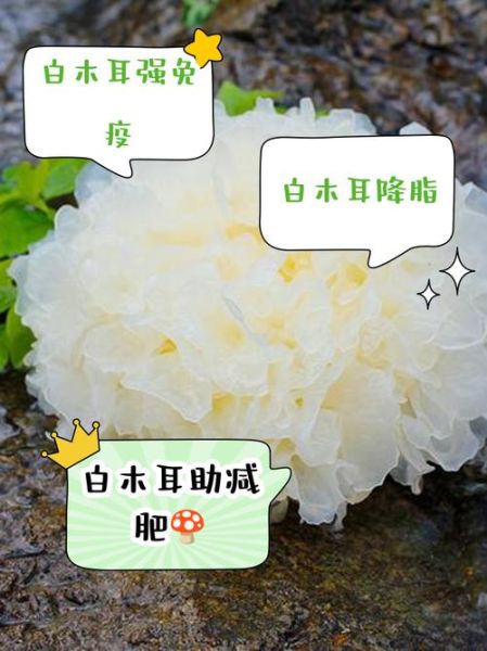 白木耳的功效与作用及副作用_什么人不能吃-第1张图片-山城妙识