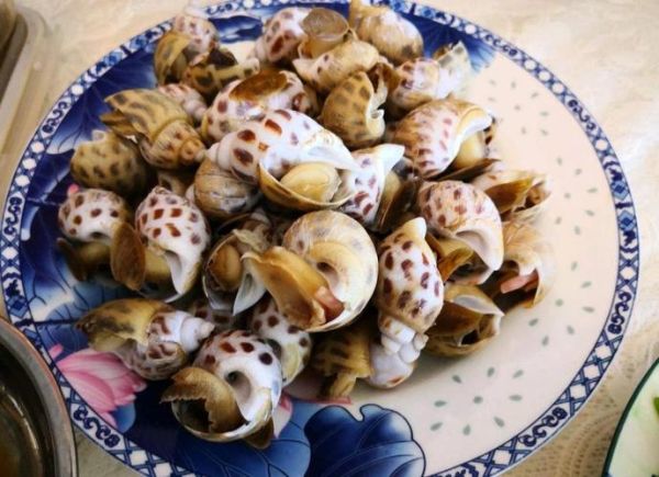 白灼花螺冷水还是热水下锅_口感与卫生哪个更重要-第1张图片-山城妙识