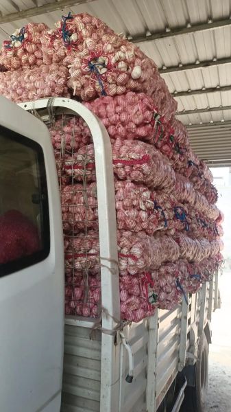 2021年大蒜价格走势_今日大蒜多少钱一斤-第3张图片-山城妙识