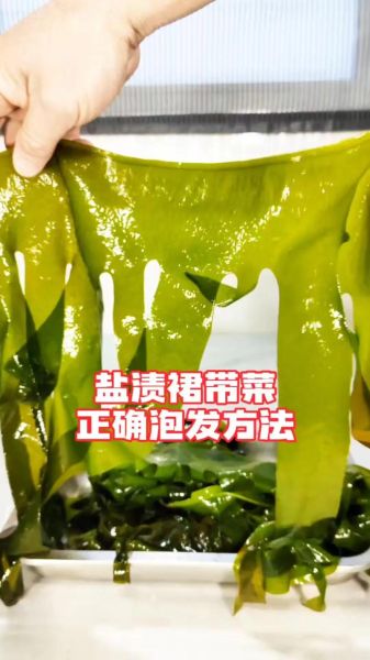 裙带菜需要焯水再食用吗_裙带菜焯水多久才安全-第1张图片-山城妙识 裙带菜需要焯水再食用吗_裙带菜焯水多久才安全-第1张图片-山城妙识