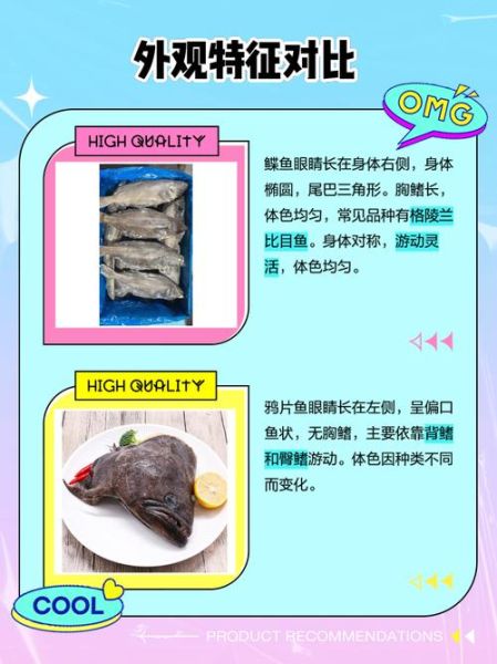 鲽鱼和鸦片鱼的区别_鸦片鱼是鲽鱼吗-第1张图片-山城妙识