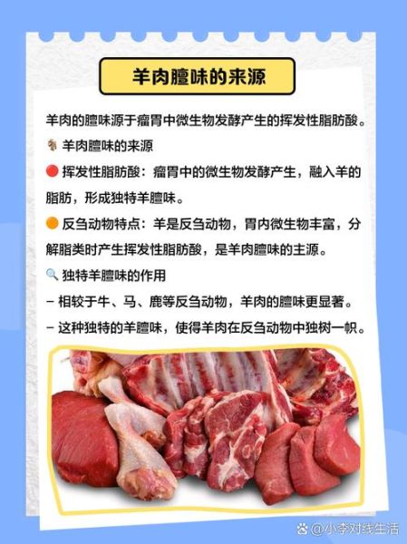 羊肉调料配方大全_如何去除膻味-第1张图片-山城妙识 羊肉调料配方大全_如何去除膻味-第1张图片-山城妙识