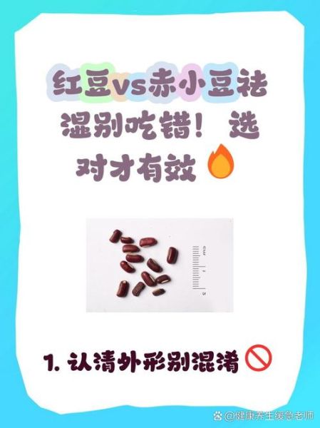 薏米配赤小豆好还是红小豆好_祛湿效果谁更强-第1张图片-山城妙识 薏米配赤小豆好还是红小豆好_祛湿效果谁更强-第1张图片-山城妙识
