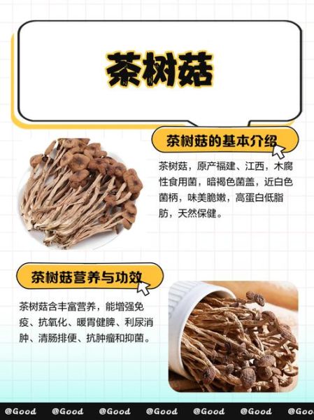 女人吃茶树菇的好处_茶树菇对女性有哪些功效-第3张图片-山城妙识