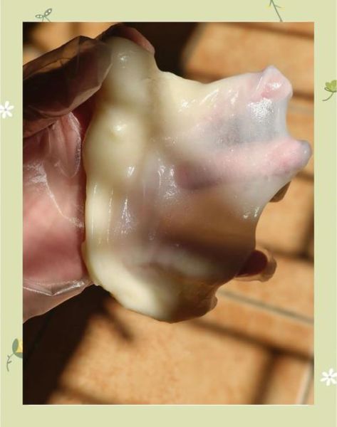 麻薯怎么保存不会硬_麻薯可以放几天-第1张图片-山城妙识