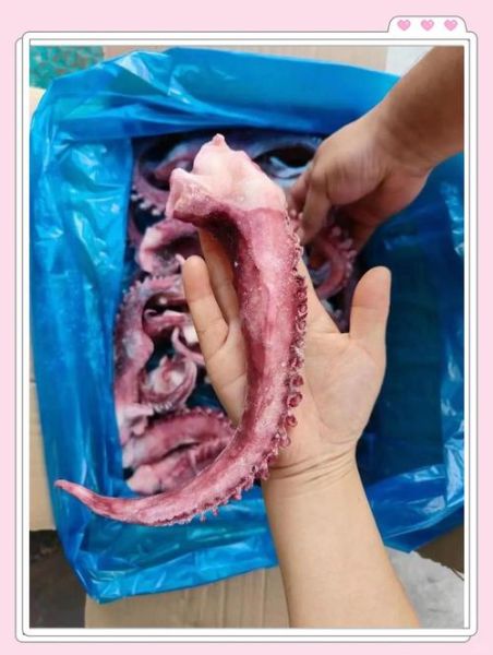 冰冻大章鱼腿怎么做好吃_冰冻章鱼腿焯水多久-第3张图片-山城妙识