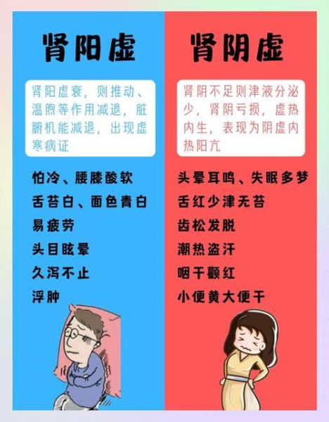 女人肾虚的10大症状有哪些_肾虚怎么调理最快-第2张图片-山城妙识 女人肾虚的10大症状有哪些_肾虚怎么调理最快-第2张图片-山城妙识