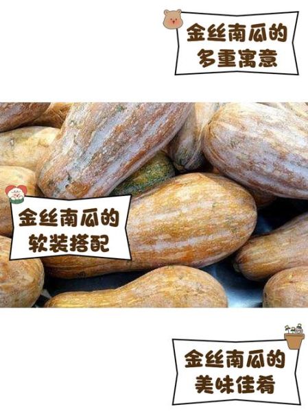 金丝南瓜降血糖吗_金丝南瓜怎么吃最营养-第1张图片-山城妙识