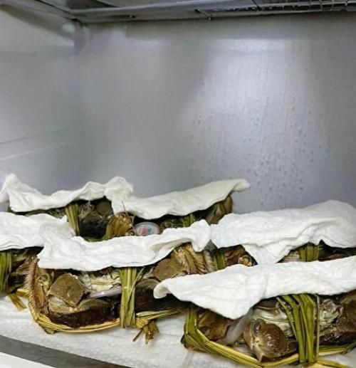 螃蟹放冰箱保鲜可以放几天_活蟹冷藏能保存多久-第2张图片-山城妙识