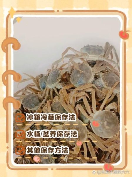 活螃蟹怎么保存时间长_活螃蟹放冰箱能活多久-第2张图片-山城妙识 活螃蟹怎么保存时间长_活螃蟹放冰箱能活多久-第2张图片-山城妙识