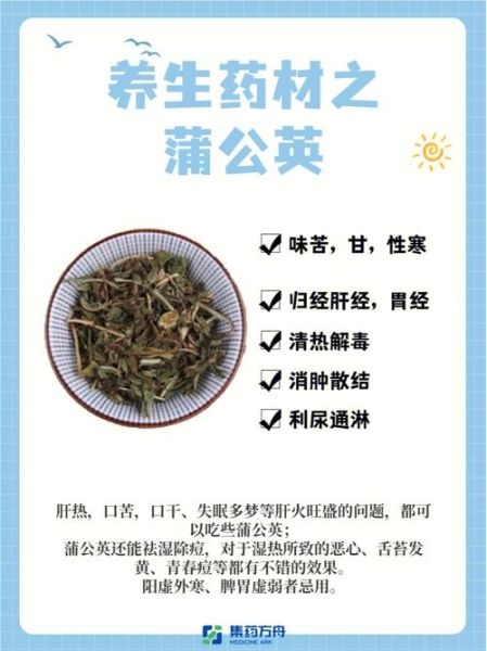 蒲公英茶的功效与作用是什么_蒲公英茶可以天天喝吗-第1张图片-山城妙识 蒲公英茶的功效与作用是什么_蒲公英茶可以天天喝吗-第1张图片-山城妙识