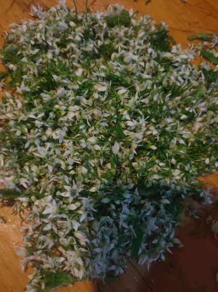 韭菜花怎么做好吃_韭菜花最简单的家常做法-第1张图片-山城妙识 韭菜花怎么做好吃_韭菜花最简单的家常做法-第1张图片-山城妙识