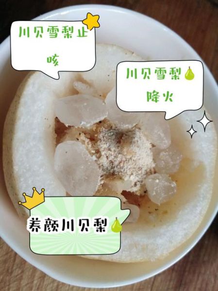 贝母蒸梨哪些人不能吃_禁忌人群全解析-第3张图片-山城妙识 贝母蒸梨哪些人不能吃_禁忌人群全解析-第3张图片-山城妙识