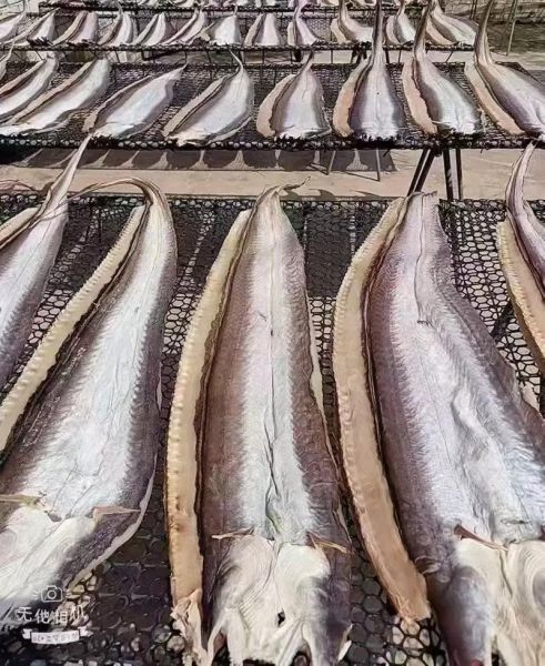 鳗鱼鲞和鳗鱼干的区别_哪个更好吃-第3张图片-山城妙识