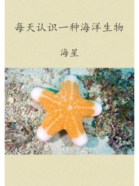 海星吃里面黑的还是黄的_海星哪些部位不能吃-第2张图片-山城妙识