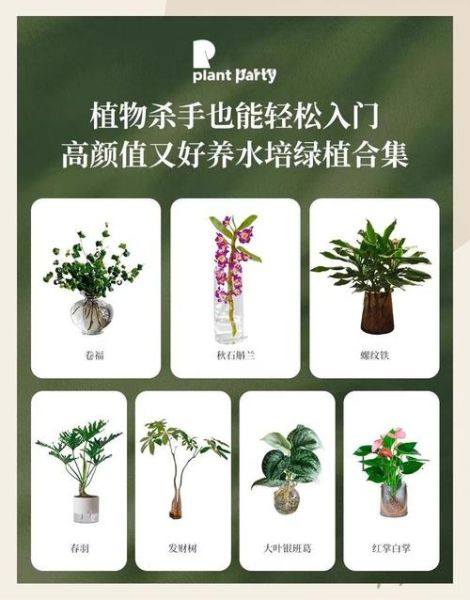 parsley怎么种_parsley可以水培吗-第3张图片-山城妙识 parsley怎么种_parsley可以水培吗-第3张图片-山城妙识