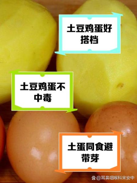土豆和鸡蛋可以一起炒吗_营养搭配真相-第2张图片-山城妙识 土豆和鸡蛋可以一起炒吗_营养搭配真相-第2张图片-山城妙识