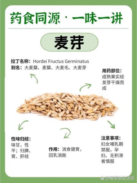 麦芽的功效与作用_麦芽的主治功能-第1张图片-山城妙识 麦芽的功效与作用_麦芽的主治功能-第1张图片-山城妙识