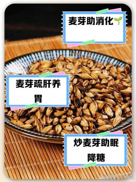 麦芽的功效与作用_麦芽的主治功能-第3张图片-山城妙识 麦芽的功效与作用_麦芽的主治功能-第3张图片-山城妙识