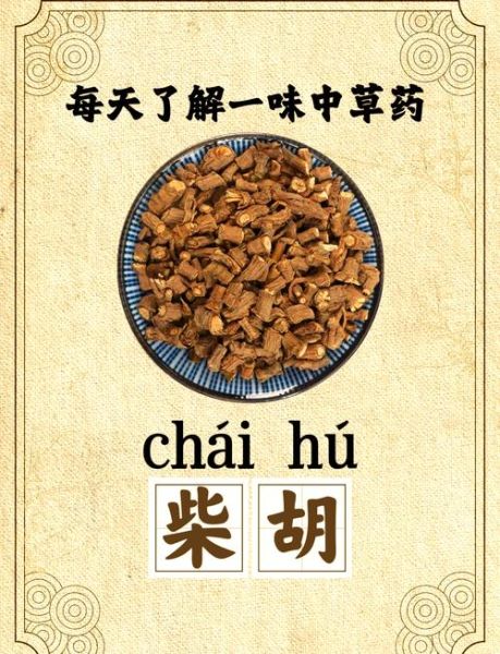 醋柴胡的功效与作用_醋柴胡与柴胡区别-第1张图片-山城妙识 醋柴胡的功效与作用_醋柴胡与柴胡区别-第1张图片-山城妙识