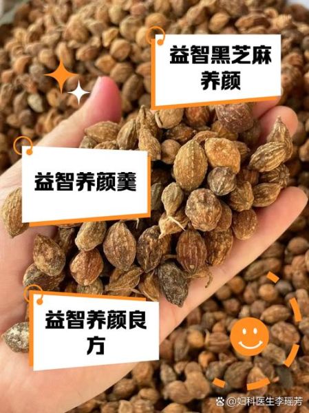 益智仁泡水用几粒_益智仁泡水一次放多少-第2张图片-山城妙识 益智仁泡水用几粒_益智仁泡水一次放多少-第2张图片-山城妙识