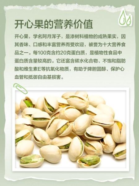 开心果的功效与作用_开心果怎么吃最健康-第3张图片-山城妙识 开心果的功效与作用_开心果怎么吃最健康-第3张图片-山城妙识