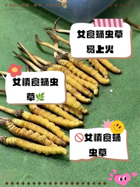 女性不能吃冬虫夏草的三种人_孕妇经期能吃吗-第2张图片-山城妙识 女性不能吃冬虫夏草的三种人_孕妇经期能吃吗-第2张图片-山城妙识
