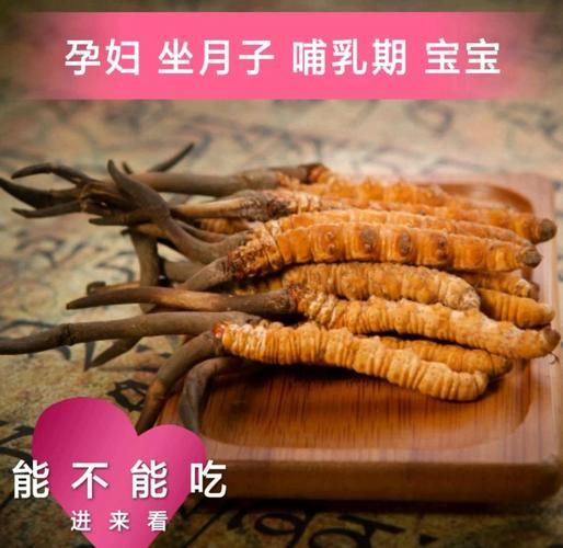 女性不能吃冬虫夏草的三种人_孕妇经期能吃吗-第3张图片-山城妙识 女性不能吃冬虫夏草的三种人_孕妇经期能吃吗-第3张图片-山城妙识