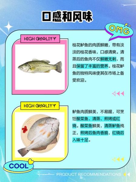 鲈鱼好还是桂鱼好吃_哪个更鲜美-第1张图片-山城妙识 鲈鱼好还是桂鱼好吃_哪个更鲜美-第1张图片-山城妙识