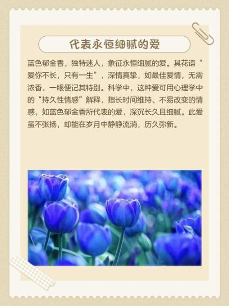 郁金香花语是什么_不同颜色寓意大全-第2张图片-山城妙识