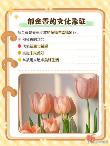 郁金香花语是什么_不同颜色寓意大全-第3张图片-山城妙识