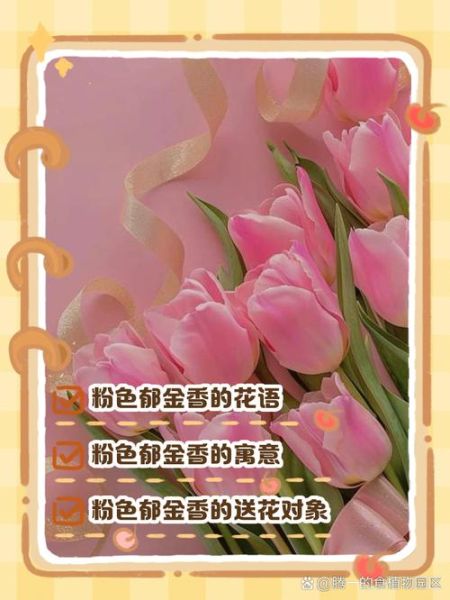 郁金香花语是什么_不同颜色寓意大全-第1张图片-山城妙识
