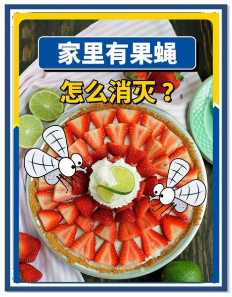 苍蝇怎么消灭_家里苍蝇多怎么办-第3张图片-山城妙识