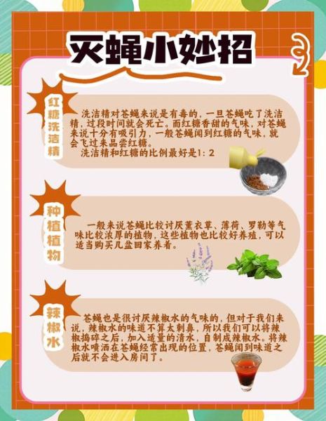 苍蝇怎么消灭_家里苍蝇多怎么办-第1张图片-山城妙识