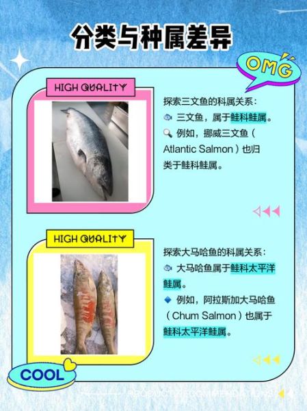 大马哈鱼和三文鱼有什么区别_哪个更好吃-第1张图片-山城妙识 大马哈鱼和三文鱼有什么区别_哪个更好吃-第1张图片-山城妙识