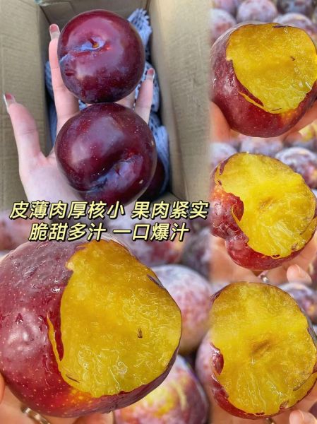 黑布林大李子热量高吗_黑布林大李子怎么挑-第1张图片-山城妙识