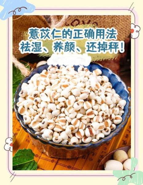 薏米仁的做法禁忌_薏米仁不能和什么一起吃-第2张图片-山城妙识 薏米仁的做法禁忌_薏米仁不能和什么一起吃-第2张图片-山城妙识