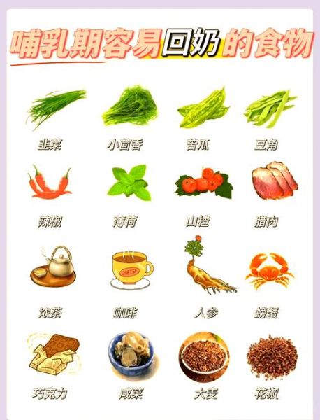 回奶的食物和蔬菜有哪些_回奶期间吃什么蔬菜好-第1张图片-山城妙识 回奶的食物和蔬菜有哪些_回奶期间吃什么蔬菜好-第1张图片-山城妙识