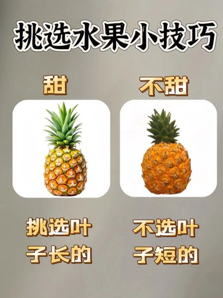 菠萝怎么挑选_菠萝怎么吃才不上火-第3张图片-山城妙识 菠萝怎么挑选_菠萝怎么吃才不上火-第3张图片-山城妙识
