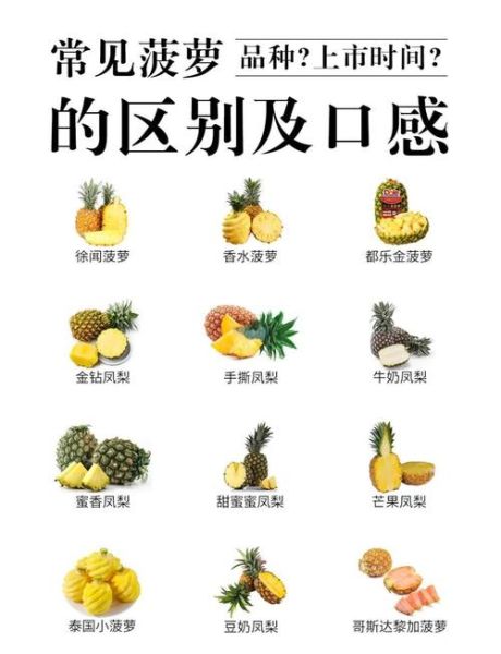 菠萝怎么挑选_菠萝怎么吃才不上火-第2张图片-山城妙识 菠萝怎么挑选_菠萝怎么吃才不上火-第2张图片-山城妙识