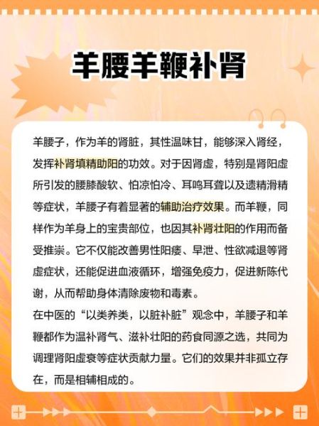 羊肾和羊腰子区别_哪个补肾更好-第2张图片-山城妙识 羊肾和羊腰子区别_哪个补肾更好-第2张图片-山城妙识