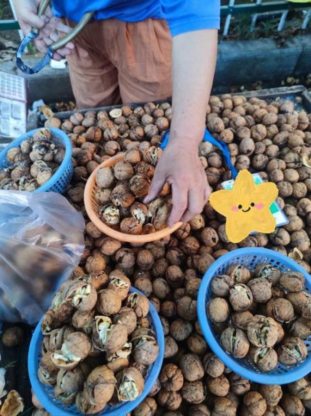 新鲜核桃怎么保存最好_新鲜核桃可以放多久-第3张图片-山城妙识 新鲜核桃怎么保存最好_新鲜核桃可以放多久-第3张图片-山城妙识