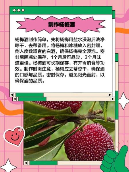 新鲜杨梅怎么腌制好吃_杨梅腌制方法步骤-第1张图片-山城妙识 新鲜杨梅怎么腌制好吃_杨梅腌制方法步骤-第1张图片-山城妙识