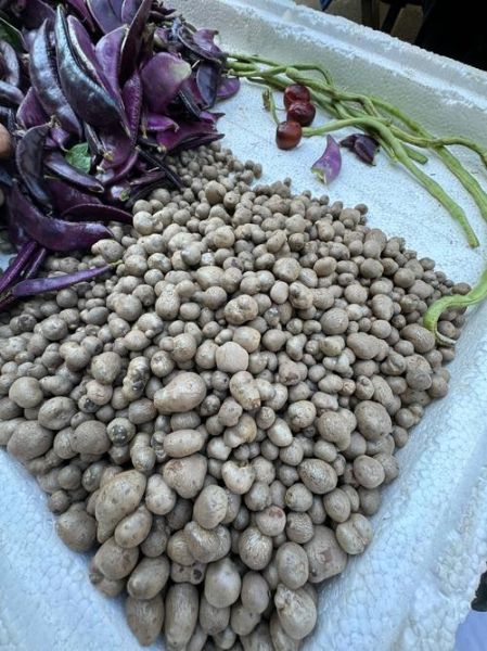 山药豆孩子吃多了中毒_怎么办-第2张图片-山城妙识