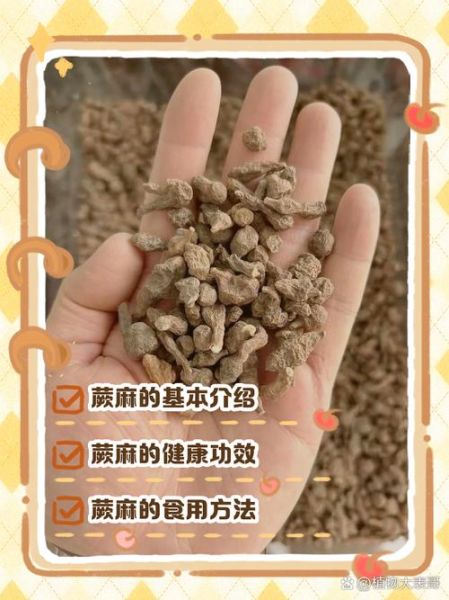 蕨麻图片长什么样_蕨麻的功效与作用-第1张图片-山城妙识