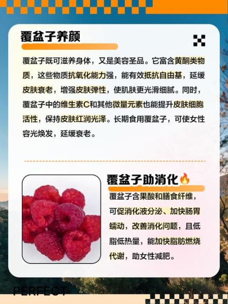 覆盆子茶有助于软化宫颈吗_孕晚期能不能喝-第3张图片-山城妙识 覆盆子茶有助于软化宫颈吗_孕晚期能不能喝-第3张图片-山城妙识