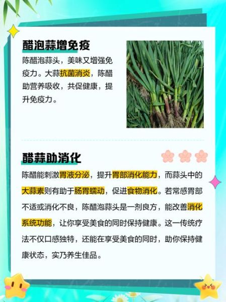 醋泡大蒜哪些人不能吃_醋泡大蒜禁忌人群-第2张图片-山城妙识