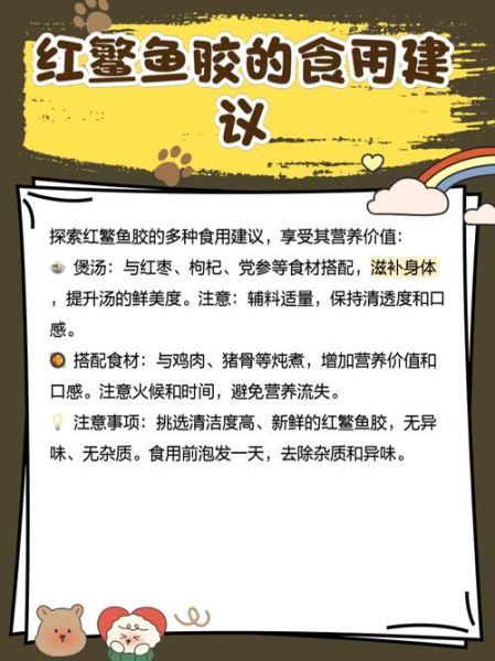 红鱼肚花胶有什么功效_红鱼肚花胶怎么吃最好-第2张图片-山城妙识